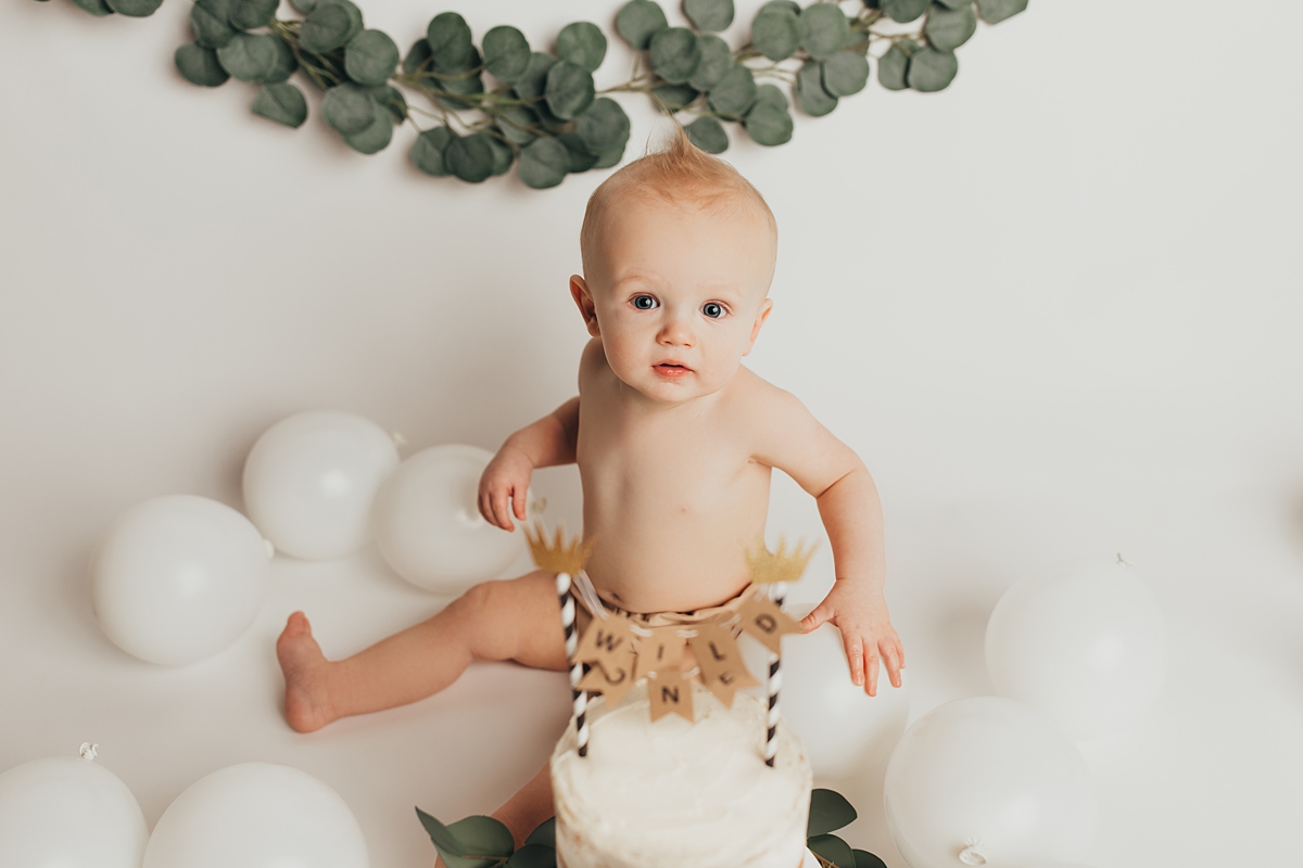 Northern Utah First Birthday Photography | Wild One Cake Smash ...
