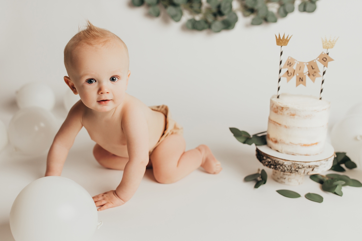 Northern Utah First Birthday Photography | Wild One Cake Smash ...