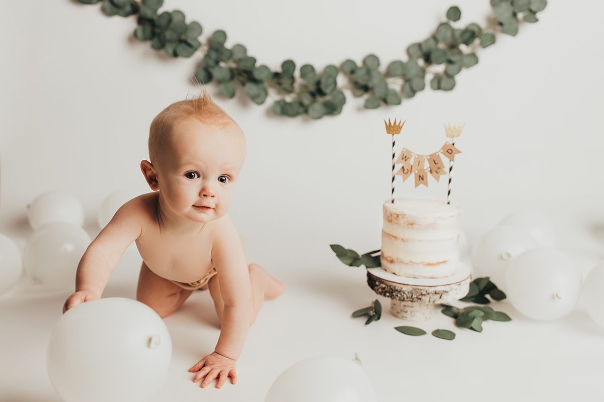 Northern Utah First Birthday Photography | Wild One Cake Smash ...