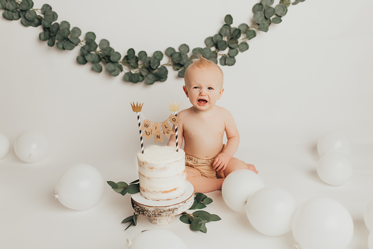 Northern Utah First Birthday Photography | Wild One Cake Smash ...