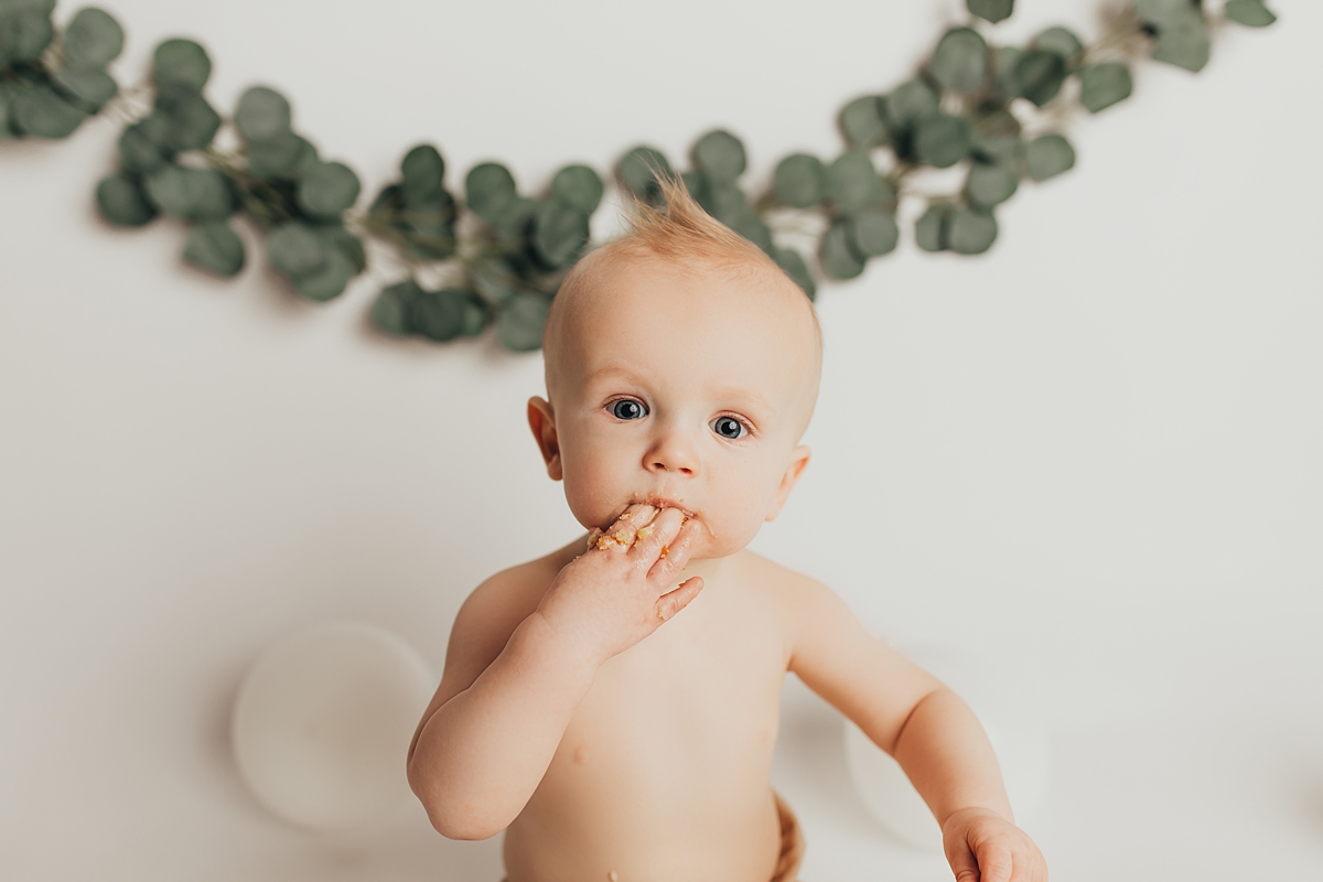 Northern Utah First Birthday Photography | Wild One Cake Smash ...